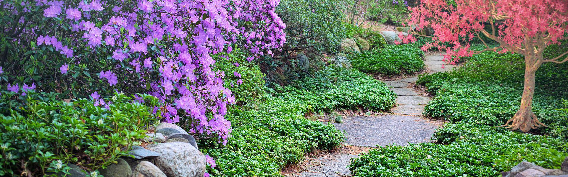 DIY path, 3 ideas for creating one in your garden - Efco